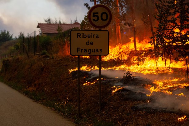 Persisten los devastadores incendios forestales en Portugal: al menos ...