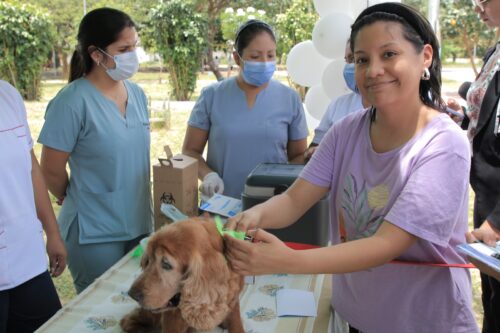 Sedes Santa Cruz ultima detalles para la campaña masiva de vacunación ...